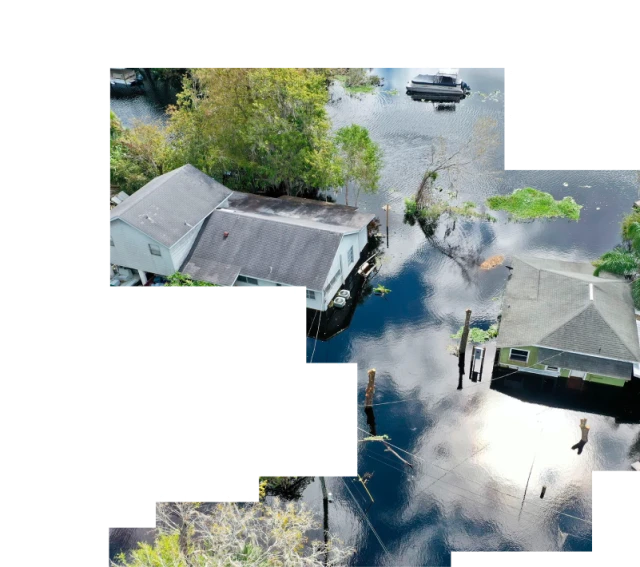 Sust Global | Home Page